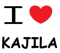 !!!KAJILA!!! | В течение последних лет компания KAJILA динамично и ...